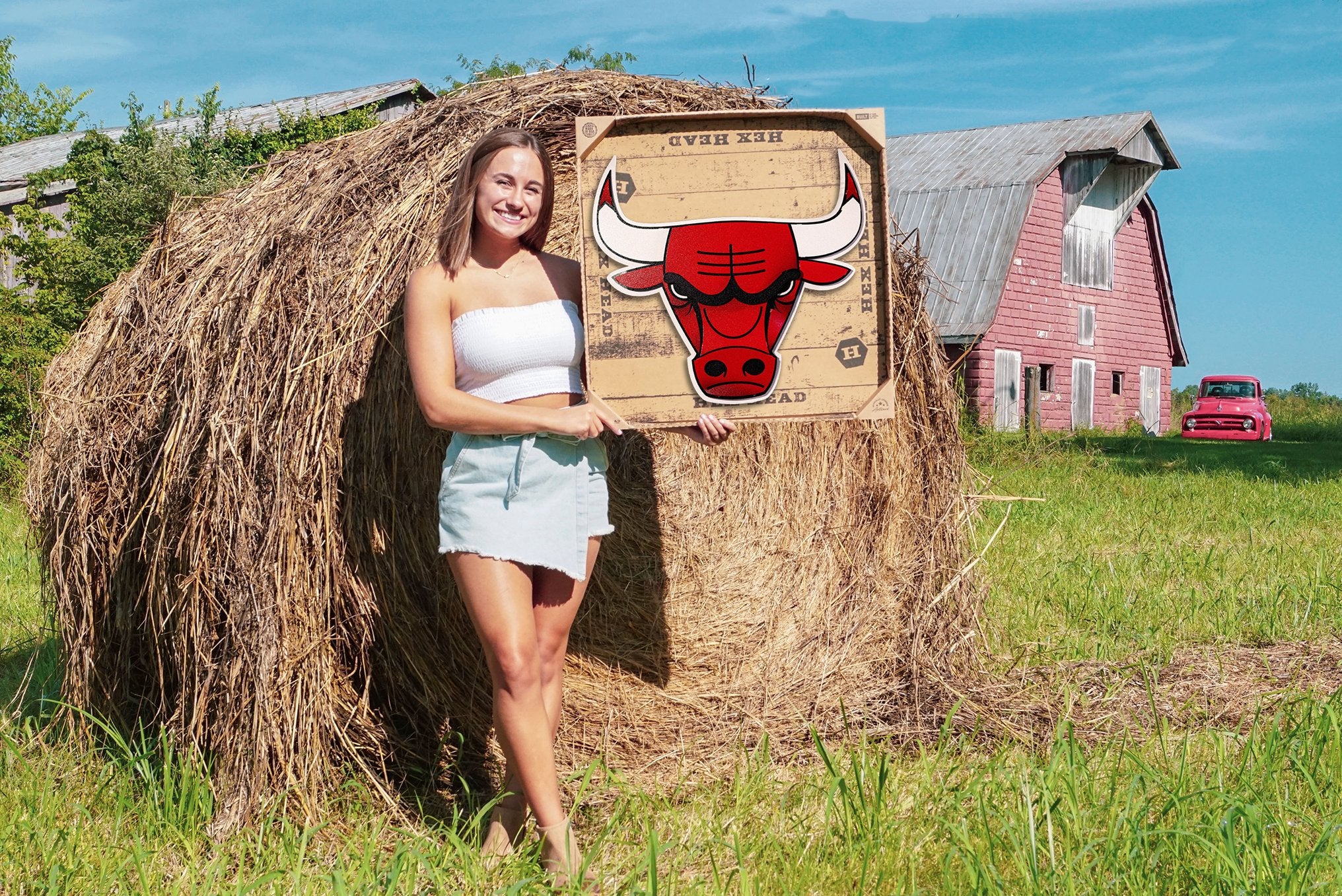 Chicago Bulls
