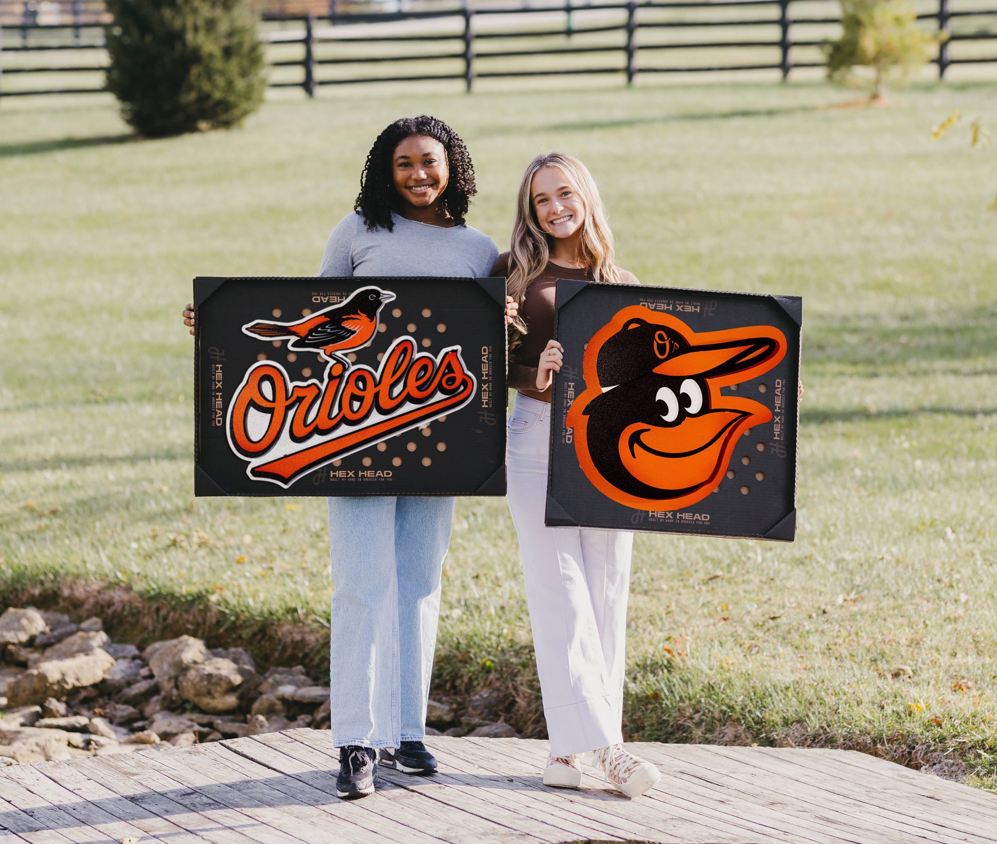 Baltimore Orioles Metal Wall Art | Hex Head Art