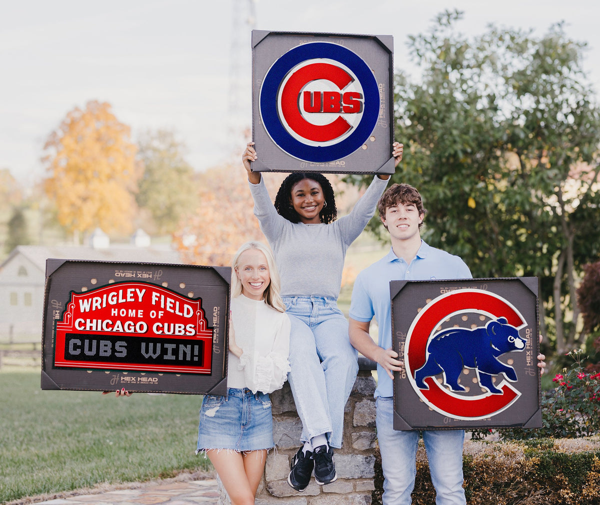 Chicago Cubs Metal Wall Art | Hex Head Art