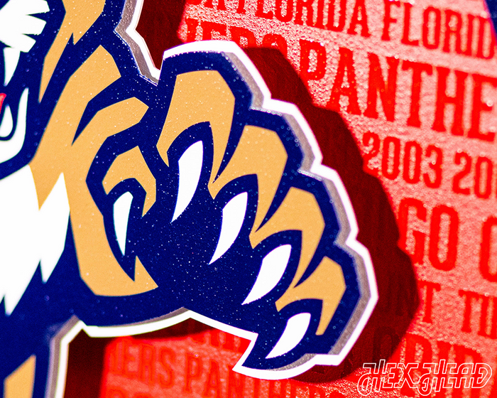 Florida Panthers Custom Wall Art – Hex Head Art