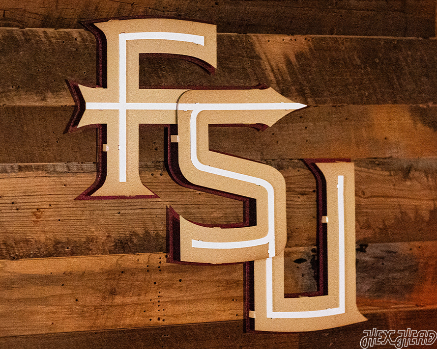 Florida State University FSU Letters 3D Vintage Metal Artwork – Hex ...