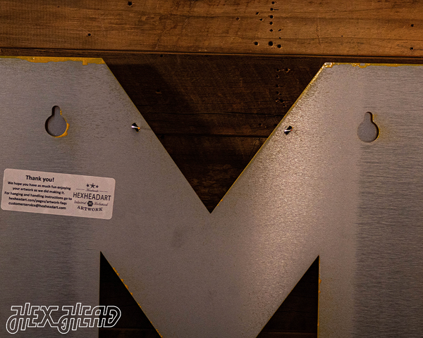 University of Michigan Block M Blue 21" x 15" – Hex Head Art