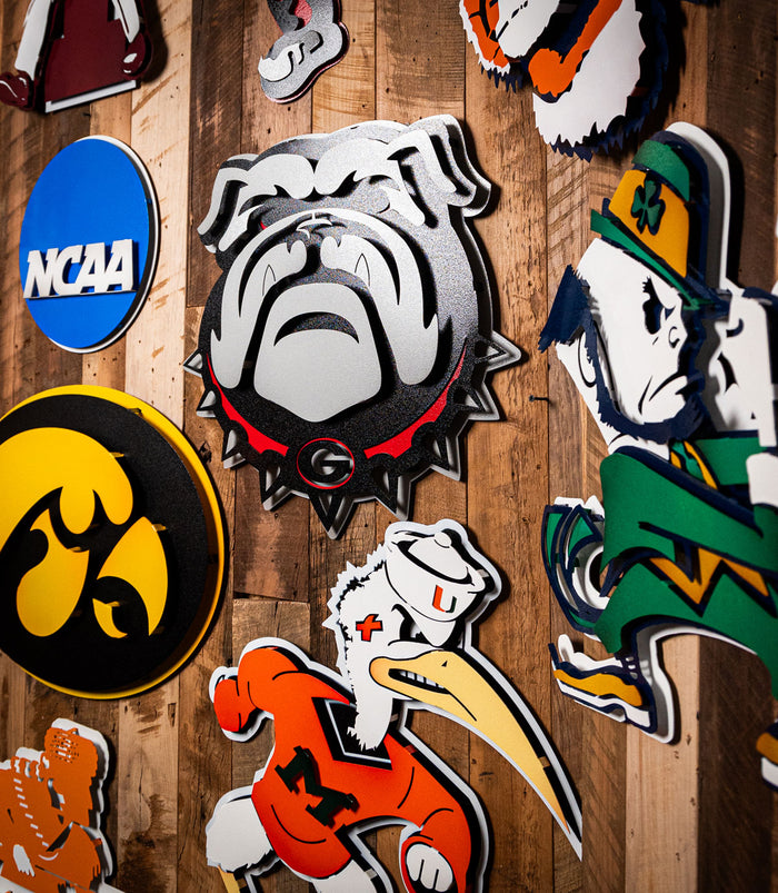 NCAA Wall Art | College Wall Art | Hex Head Art