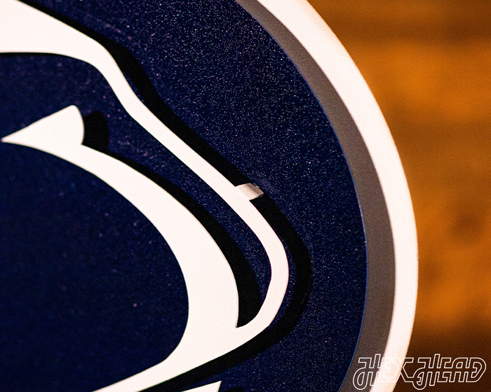Penn State University Nittany Lions 3D Artwork 23" x 16" – Hex Head Art
