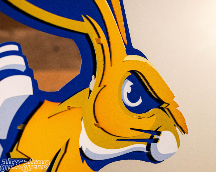 SOUTH DAKOTA STATE JACKRABBITS 3D Vintage Metal Wall Art – Hex Head Art