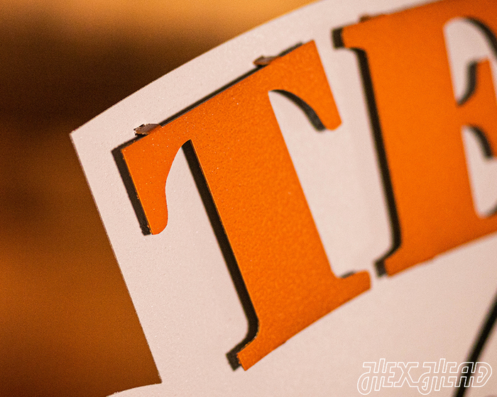 Texas Longhorns HEX HEAD EXCLUSIVE Design 3D Metal Art – Hex Head Art