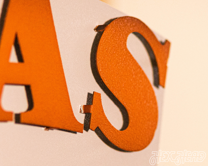 Texas Longhorns HEX HEAD EXCLUSIVE Design 3D Metal Art – Hex Head Art