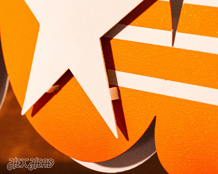 Tennessee Volunteers VOLS 1983 VAULT "Davy Crockett- Rifleman" 3D Vint