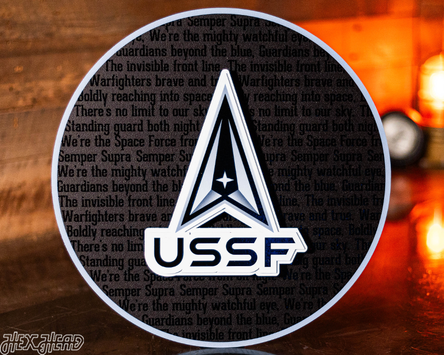 United States Space Force CRAFT SERIES 3D Embossed Metal Wall Art