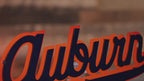 Auburn Tigers Cursive Script VAULT 3D Metal Wall Art 26" x 14" – Hex ...