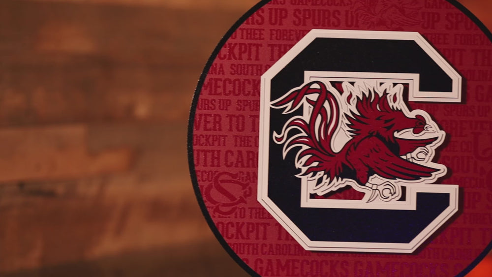 South Carolina Gamecocks Vintage Metal Wall Art– Hex Head Art